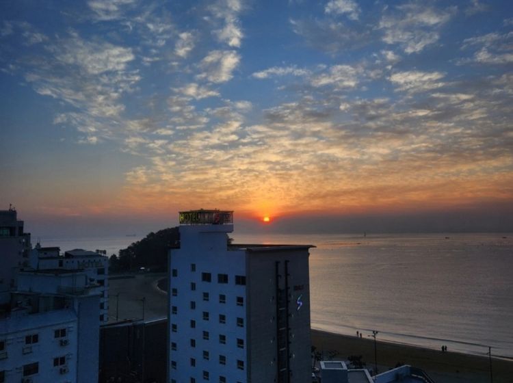 삼삼엠투 부산 해운대구 송정동 호텔 단기임대 송정해수욕장까지 30초 